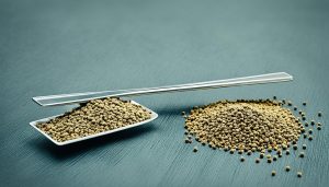 What is Peppercorn Ground Rent in UK? | All you need to know