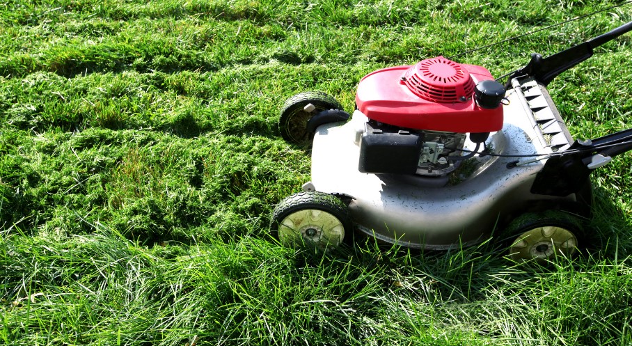 How Much Is Turf Per Square Metre? | Compare Real Grass vs Artificial ...