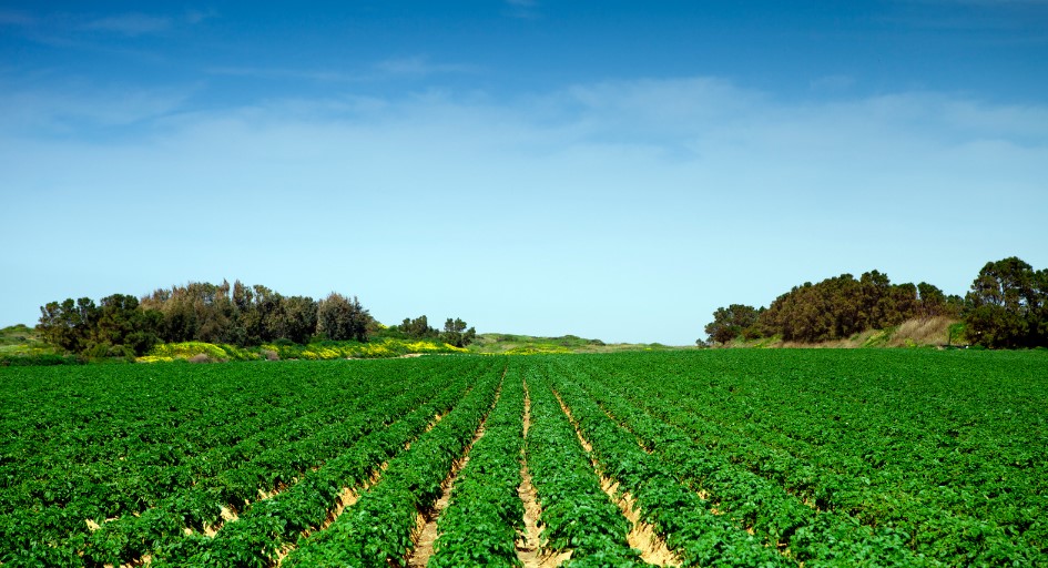 How Big is an Acre? | Simple Guide to Acre Measurements and Comparisons