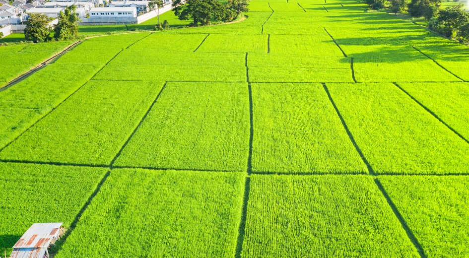 How Big is an Acre? | Simple Guide to Acre Measurements and Comparisons