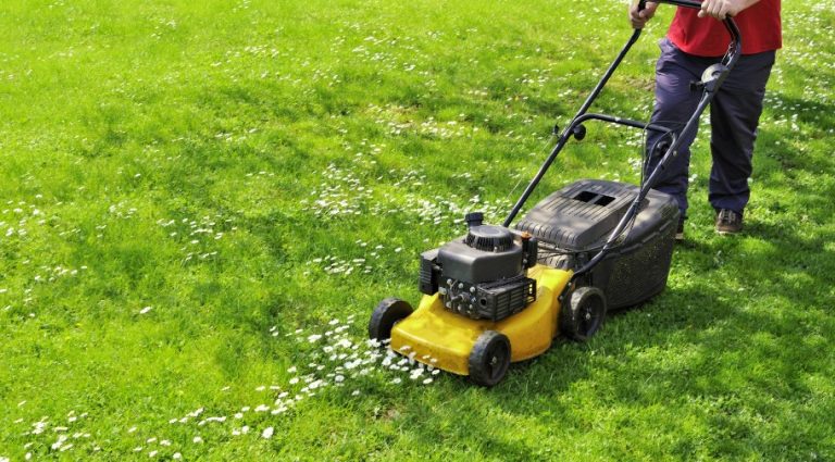 Legal Time to Mow Lawn UK | Know the Noise Restrictions