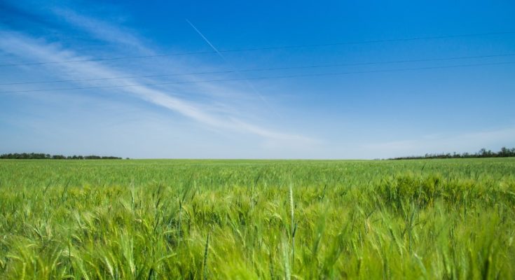 How Big is an Acre? | Simple Guide to Acre Measurements and Comparisons