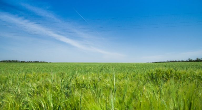 How Big is an Acre? | Simple Guide to Acre Measurements and Comparisons